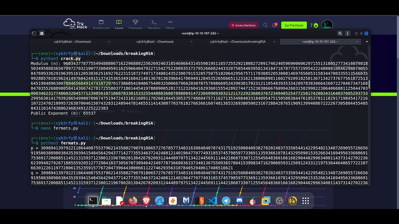 TryHackMe Room Breaking RSA Walkthrough #tryhackme #rsa