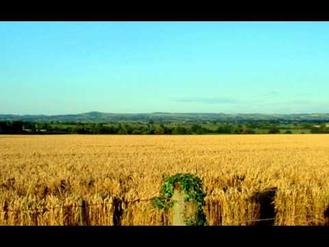 Arable land