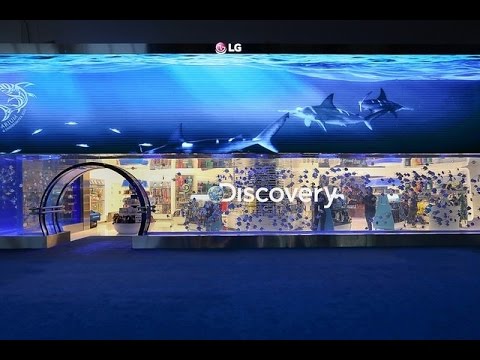 Discovery Channel Store at The Dubai Mall | DIscovery Souvenir Shop | Discovery Showroom