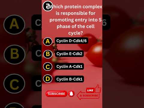 Test Your Knowledge With This Fun Cell Cycle Mcq Quiz! #microbiology #CDKs #cellcycle