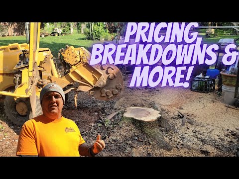 The Real Struggles of Stump Grinding – Pricing, Breakdowns & More!