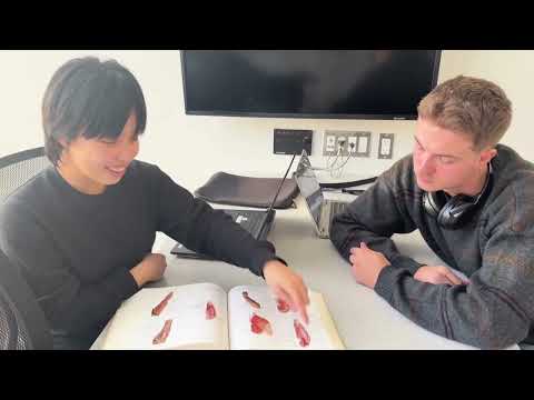 Welcome to the Tutoring & Learning Centre at George Brown College