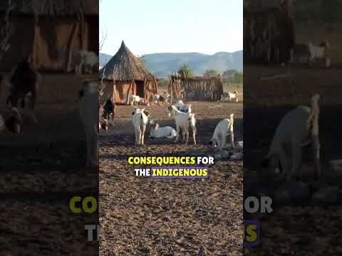 How Britain colonised Australia. #historyshorts