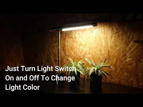 Cool, Warm, Neutral White All In One Desk Lamp I Different Light Color For Different Moods