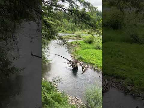 Milo McIver State Park is peaceful🍃