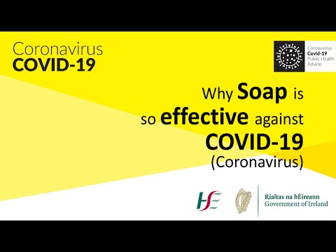 Why is Soap so Effective against COVID-19?