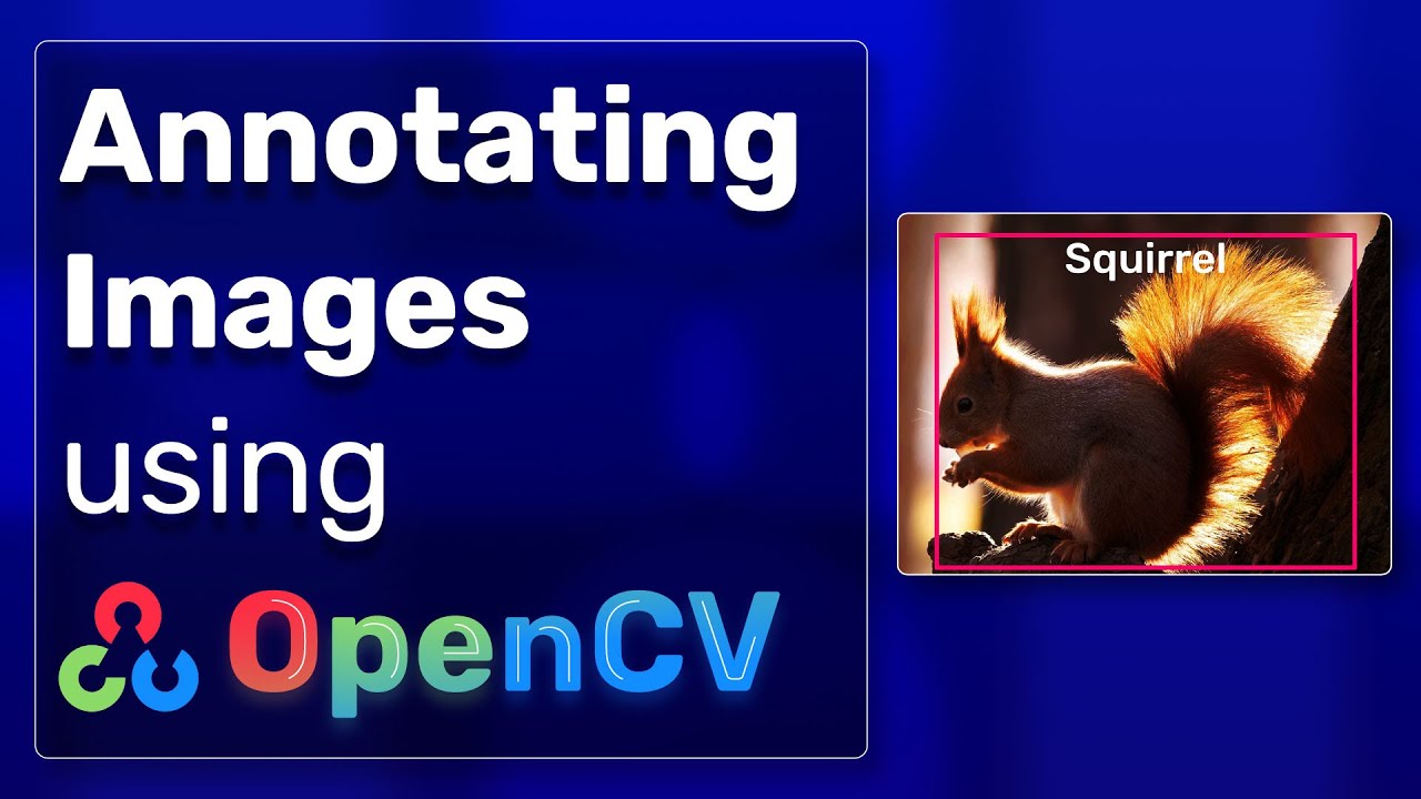 A Guide to Annotating Images with OpenCV