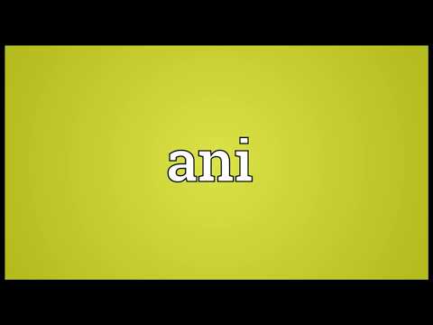 Ani Meaning