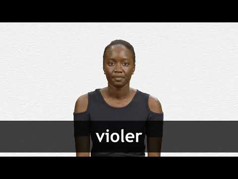 English Translation of “VIOLER” | Collins French-English Dictionary