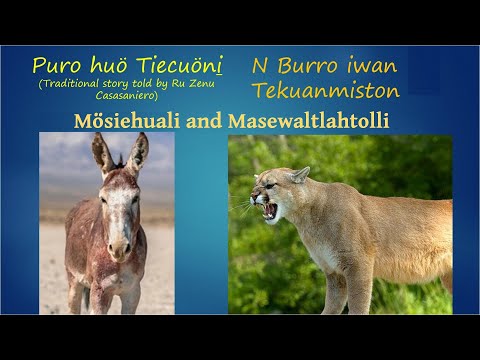 Mösiehuali and Masewaltlahtolli; Two Variants of Nawatl