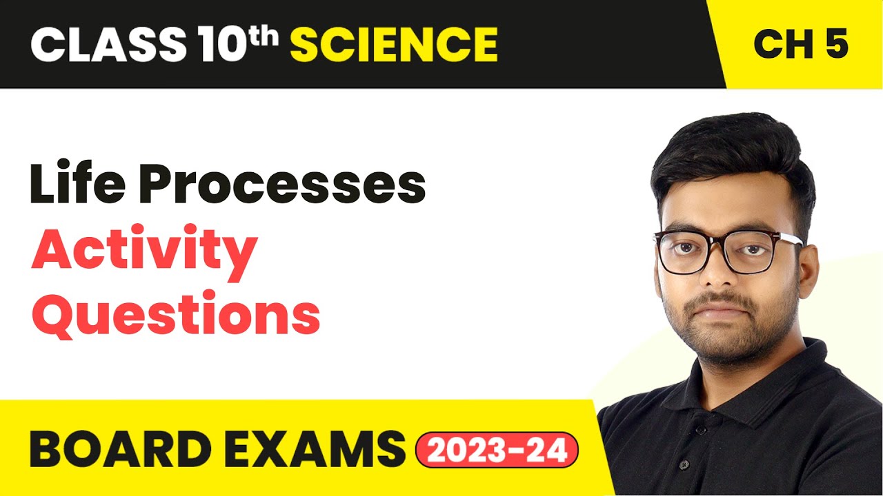 Life Processes - Activity Questions | Class 10 Science Chapter 5