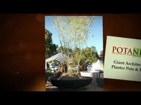 Giant Architectural Planter Pots & Bowls