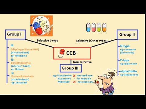 Calcium Channel Blockers (CCBs)