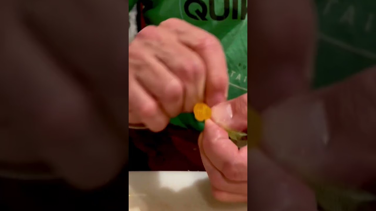 How to Tie Egg Sacks (spawn sacks) for Steelhead Fishing #shorts #steelhead #steelheadfishing #trout