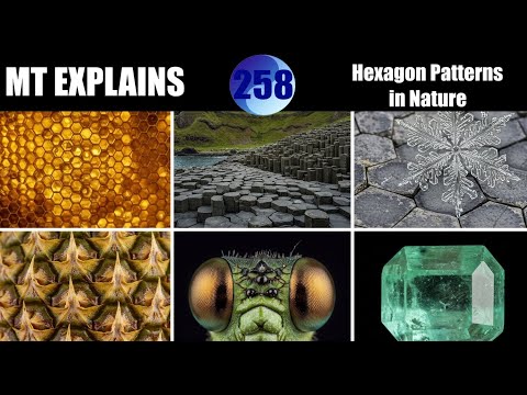 Motion Theory Explains: Hexagon Patterns in Nature