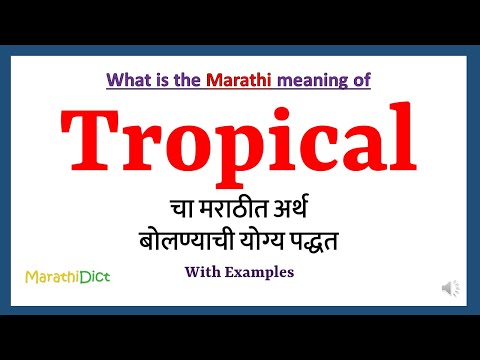 Tropical Meaning in Marathi | Tropical म्हणजे काय | Tropical in Marathi Dictionary |