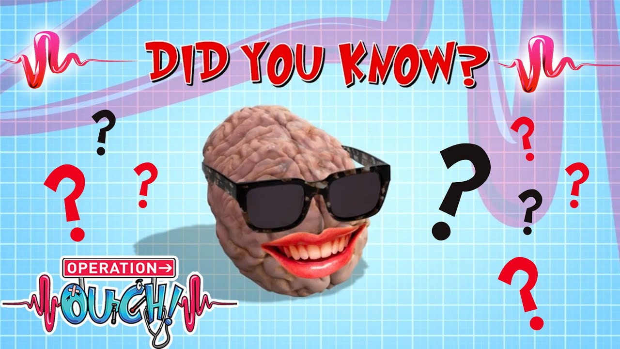 DID YOU KNOW? 🧠 | The Amazing Human Body - PART 1 | Science for Kids | @OperationOuch