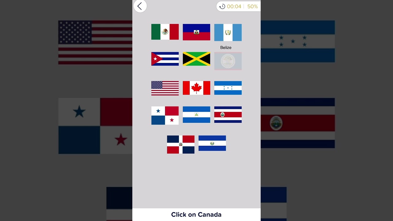 North and Central American flags 88% 0:18