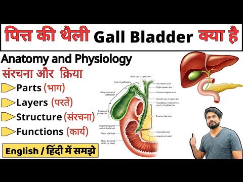 पित्त की थैली क्या है | Gall Bladder | Anatomy and physiology | Structure and Function | Hindi