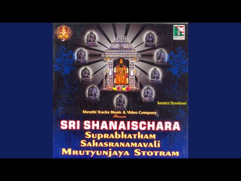 Dasharatha Krutha Shani Stotram