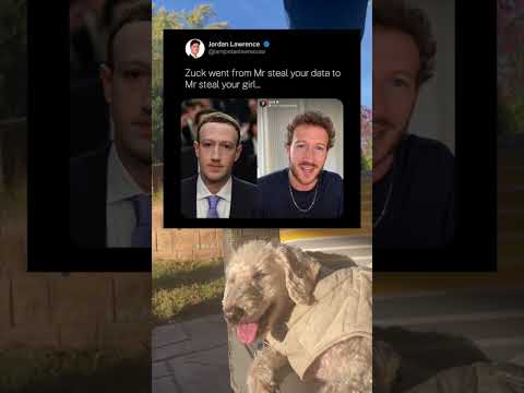 He does look good #memepics #funnymemes #dogmemes #markzuckerberg #zuckerberg #facebook #meta