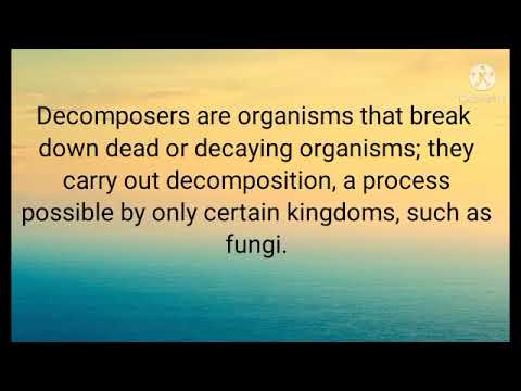 definition of decomposers #shorts