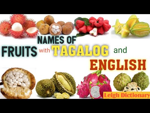 Types of FRUITS with ENGLISH and TAGALOG Names you must to understand | Leigh Dictionary🇵🇭