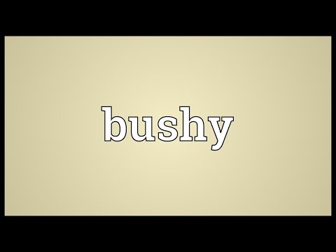 Bushy Meaning