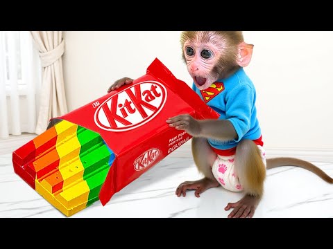 Monkey Baby Bon Bon buys rainbow kitkat candy bathes with baby duck in swimming pool