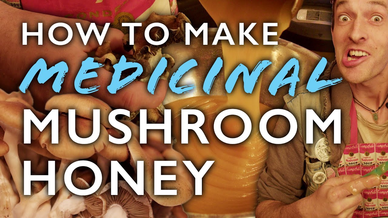 How to Make Mushroom Honey: Ancient Medicine, New Techniques