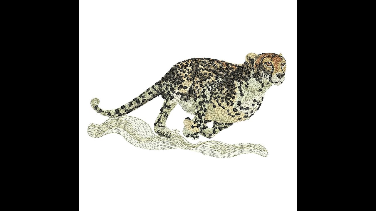 How to digitize a cheetah?