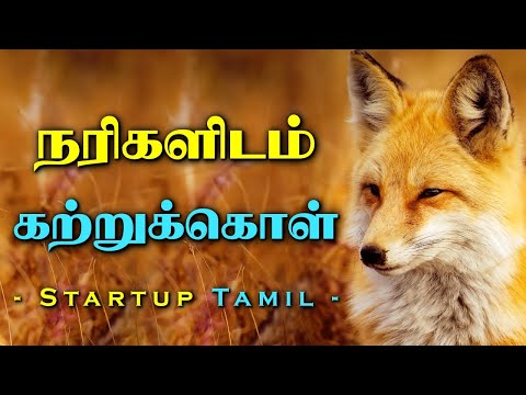 நரிகளிடம் கற்றுக்கொள் | Fox Motivational Video in Tamil
