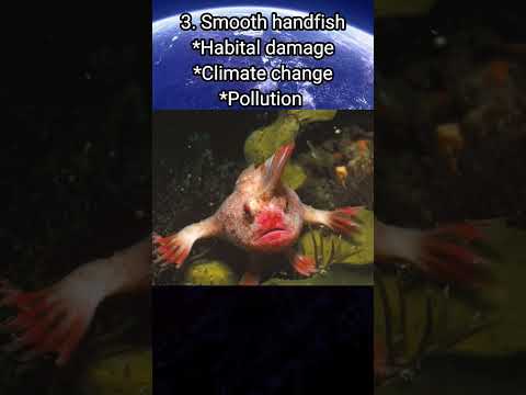 Extinct animals 😢and their reasons| Planet falls