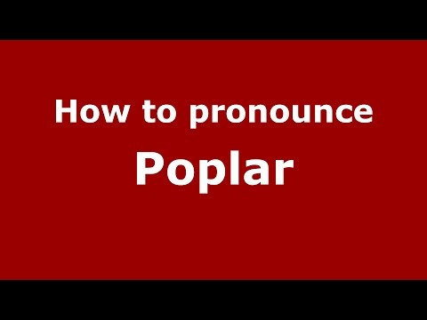 How to pronounce Poplar (American English/US) - PronounceNames.com