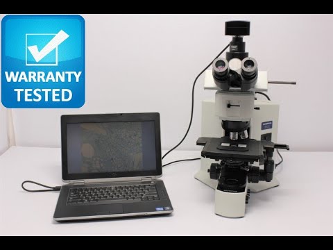 Olympus BX51 Microscope BrightField/DarkField Reflective Pred BX53 [BOSTONIND] - 20022