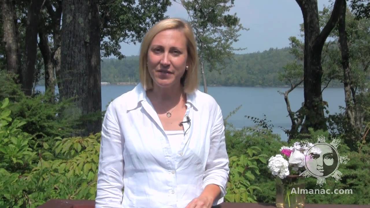 Weather Wisdom: Measuring Hurricanes