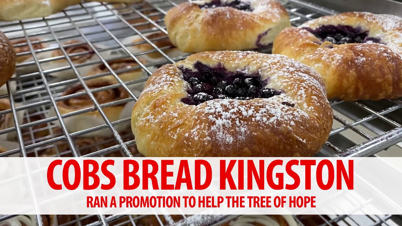 Cobs Bread Kingston - Tree of Hope