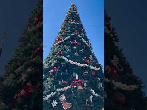 Christmas Tree Magic Kingdom Disney World on Thanksgiving Day 2024