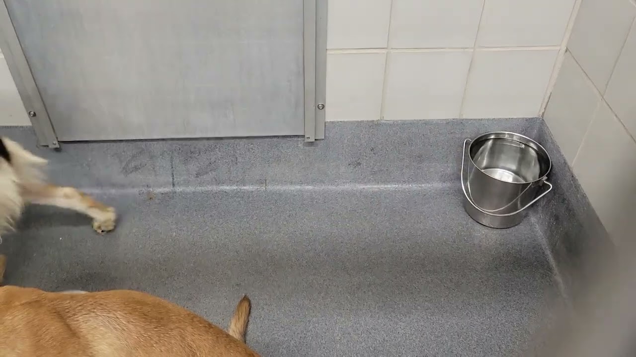 acs A674540