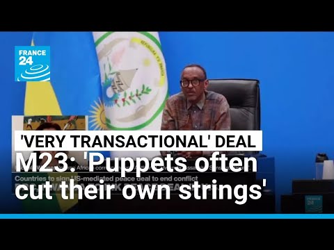 Trump business for security deal 'effectively rewards Rwanda for invading, occupying, looting Congo'