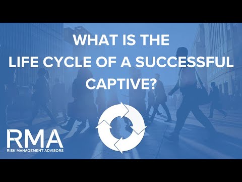 Life Cycle Of A Successful Captive Insurance Company