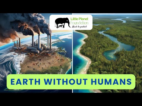 What Would Happen to Nature if Humans Left Earth? #littleplanetfoundation