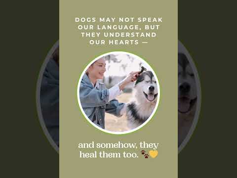 Dog Quotes That Touch the Heart 🐾 | Calm, Healing & Uplifting Words