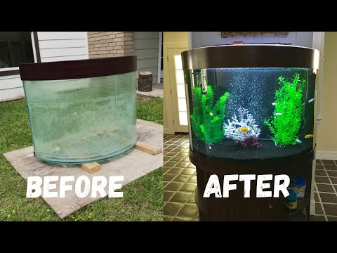 Restoring a Fish Tank and Adding Fish!! (75 Gallon Half Moon Aquarium)