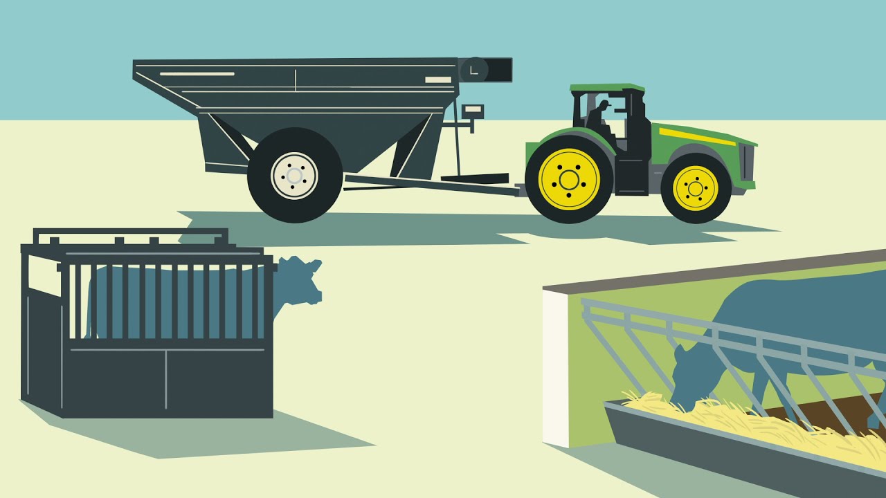 The Versatility of POINT