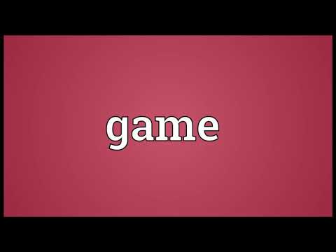 game meaning in English