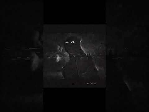 Happen in 1954 #godzilla #scary #analoghorror #vhstapes #godzillaanaloghorror