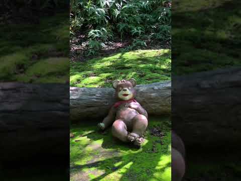 Attractive pictures in Japan #shorts #shortsvideo #shortvideo #japan #short