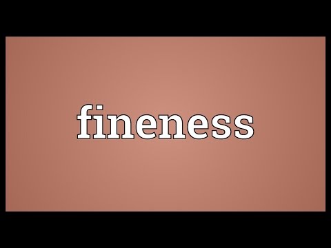 Fineness Meaning