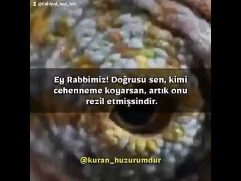 Ali İmran Suresi 192 Ayet